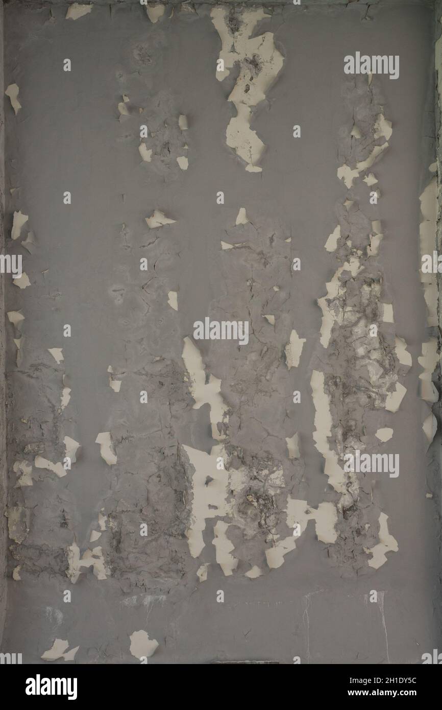 Damaged Plaster texture, cracked texture with fine detail High ...