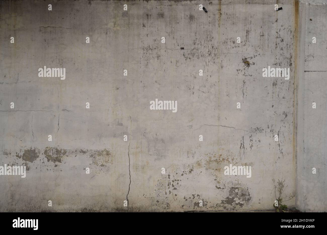 Damaged Plaster texture, cracked texture with fine detail High ...