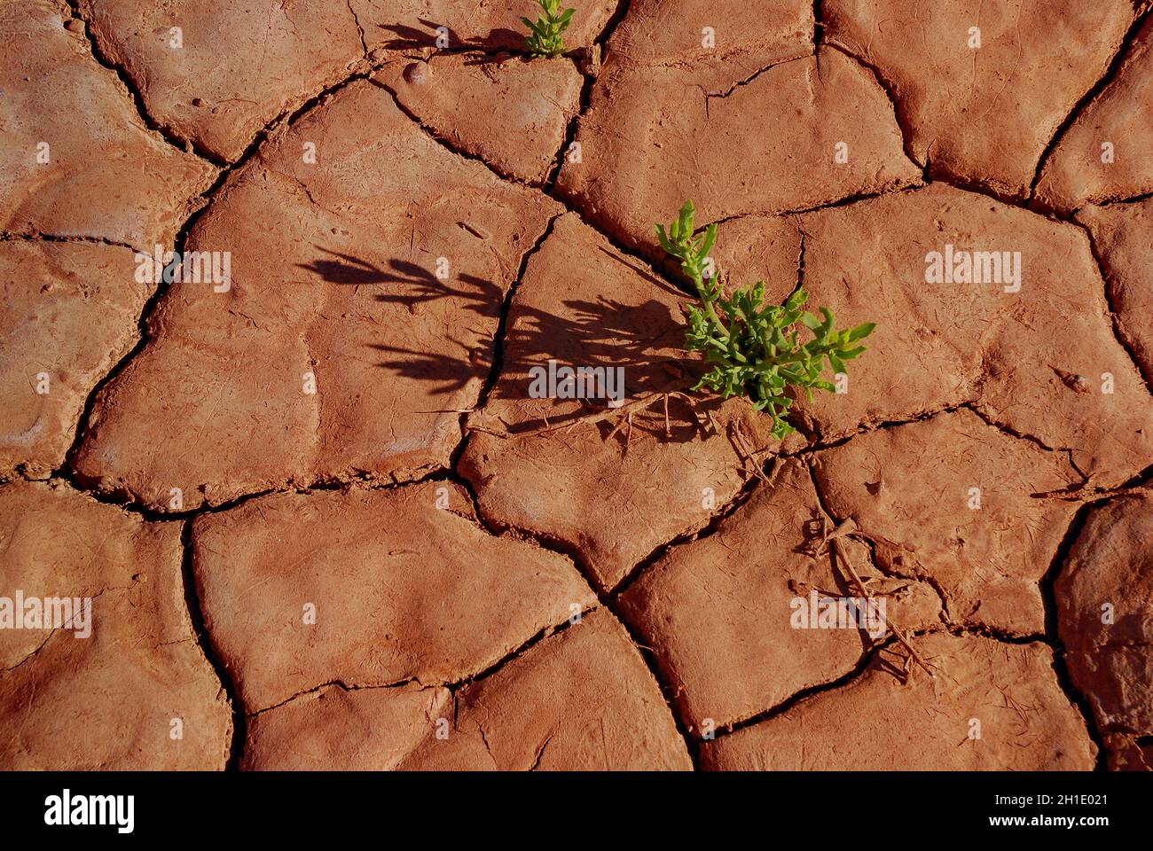 Visitar lugares de chile hi-res stock photography and images - Alamy