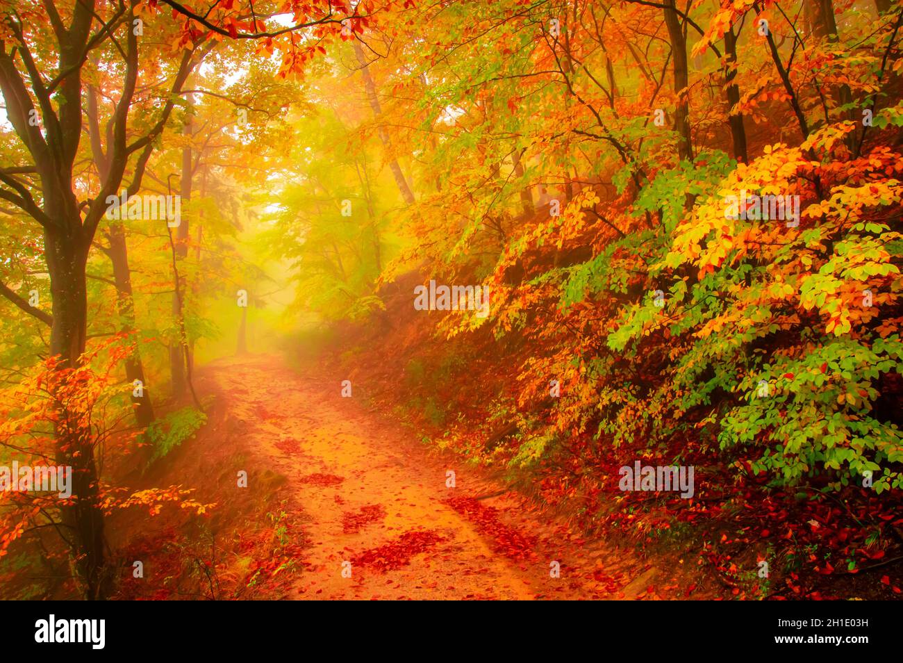 Autumn in Cozia, Carpathian Mountains, Romania. Vivid fall colors in a ...
