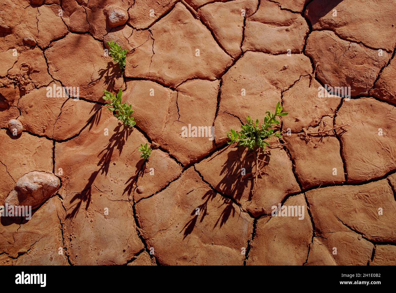 Visitar lugares de chile hi-res stock photography and images - Alamy