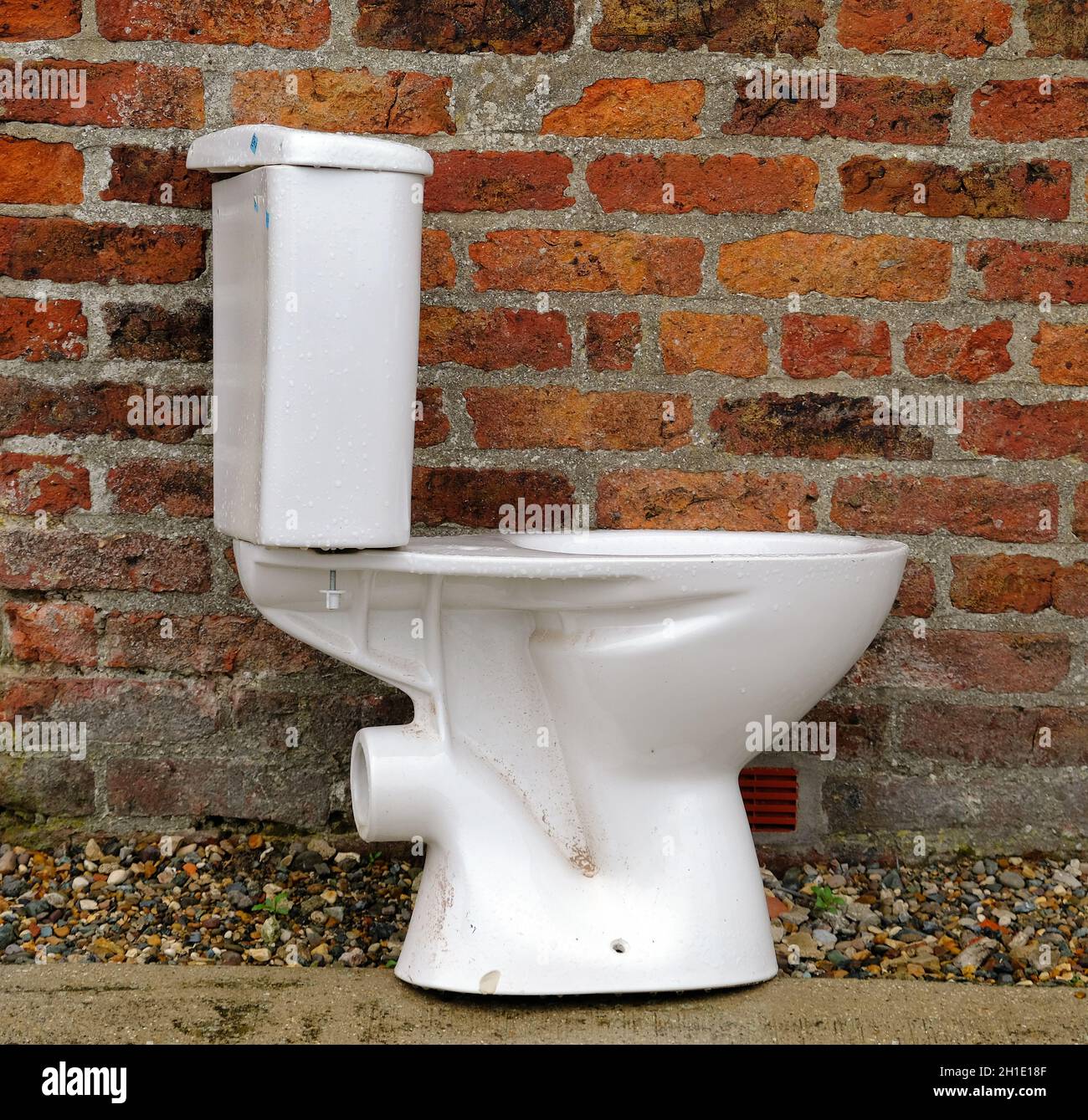 Toilet low flush unit outside against building wall Stock Photo - Alamy