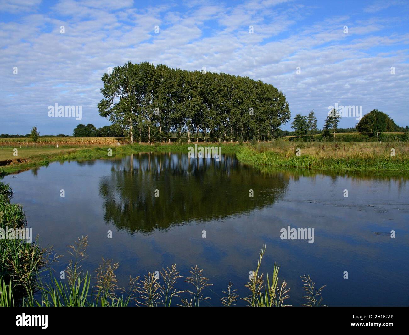 Natural view of the River Berkel in the Netherlands with reflection of ...