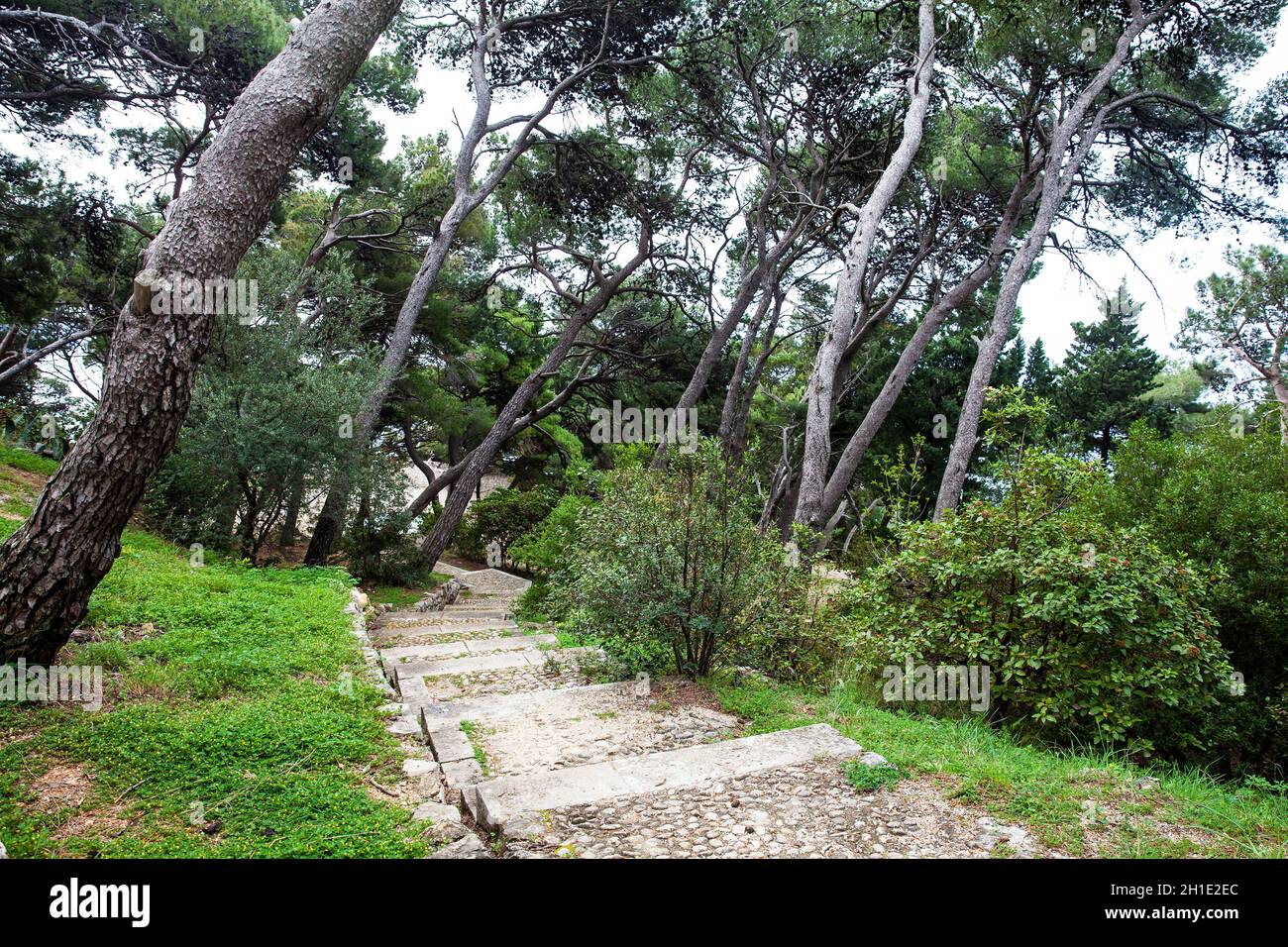 Beautiful paths of the Gradac Park in Dubrovnik Stock Photo - Alamy