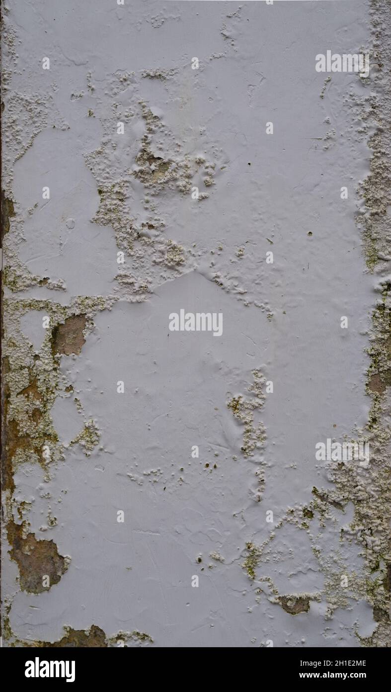 Damaged Plaster texture, cracked texture with fine detail High ...