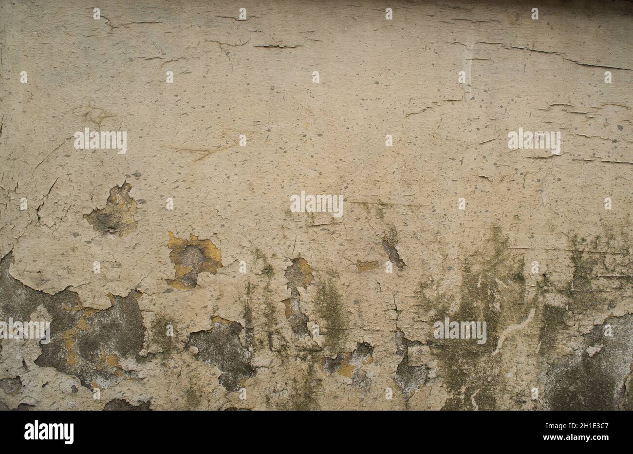 Damaged Plaster texture, cracked texture with fine detail High ...