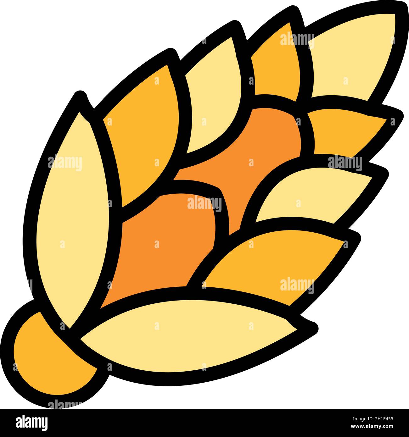 Thuja cone icon. Outline thuja cone vector icon color flat isolated ...