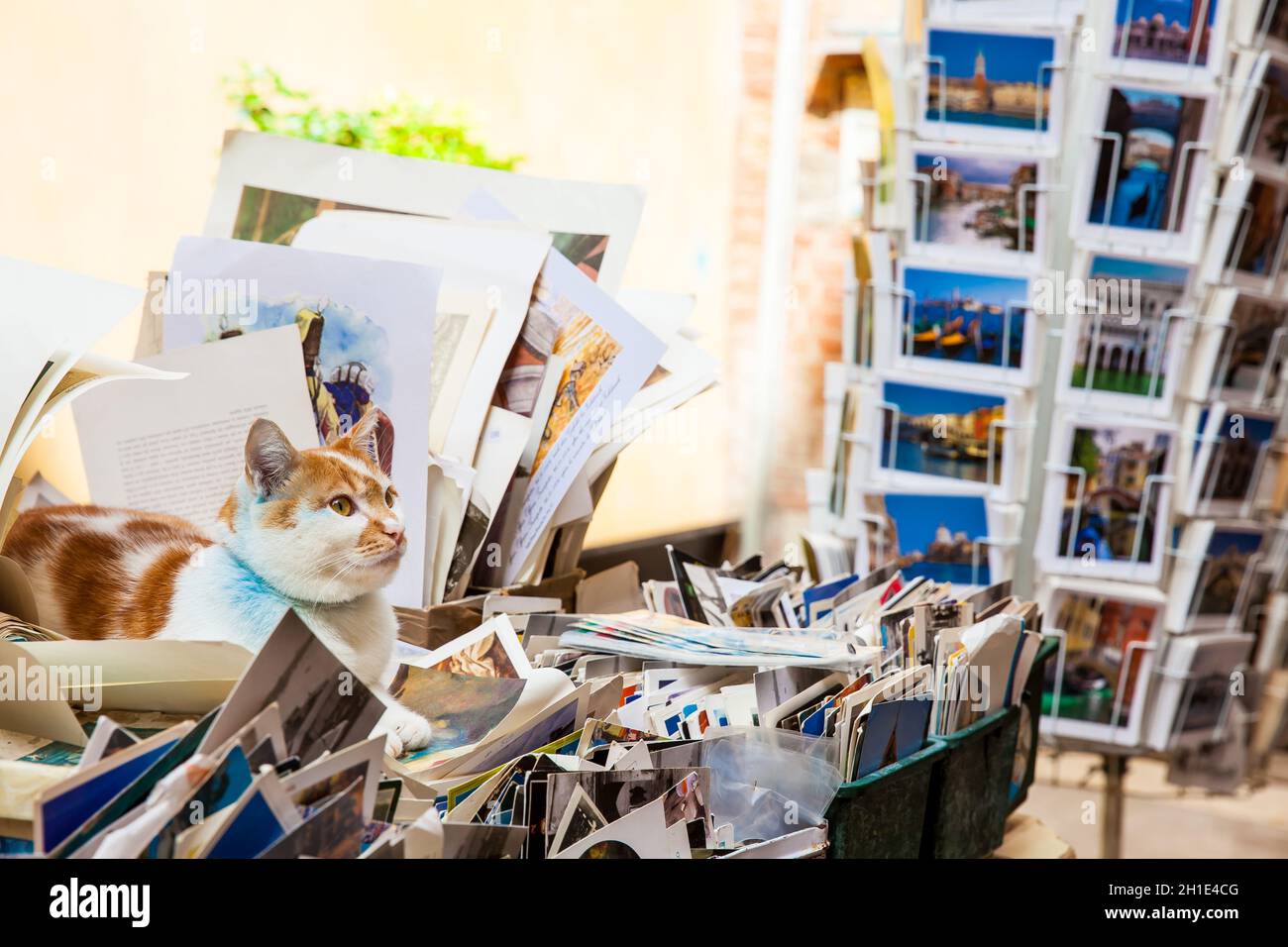 Libreria acqua alta, venice hi-res stock photography and images - Alamy