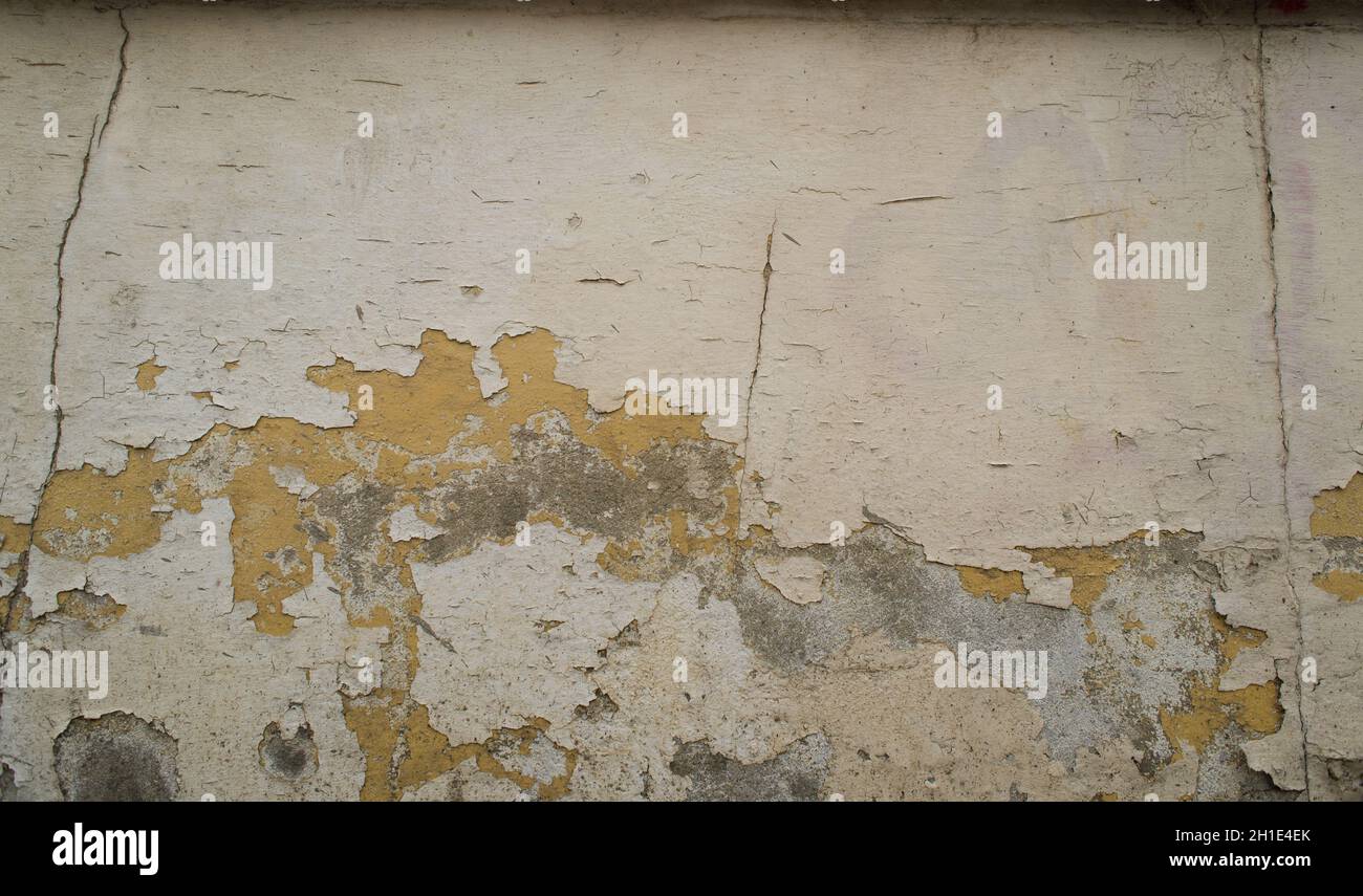 Damaged Plaster texture, cracked texture with fine detail High ...