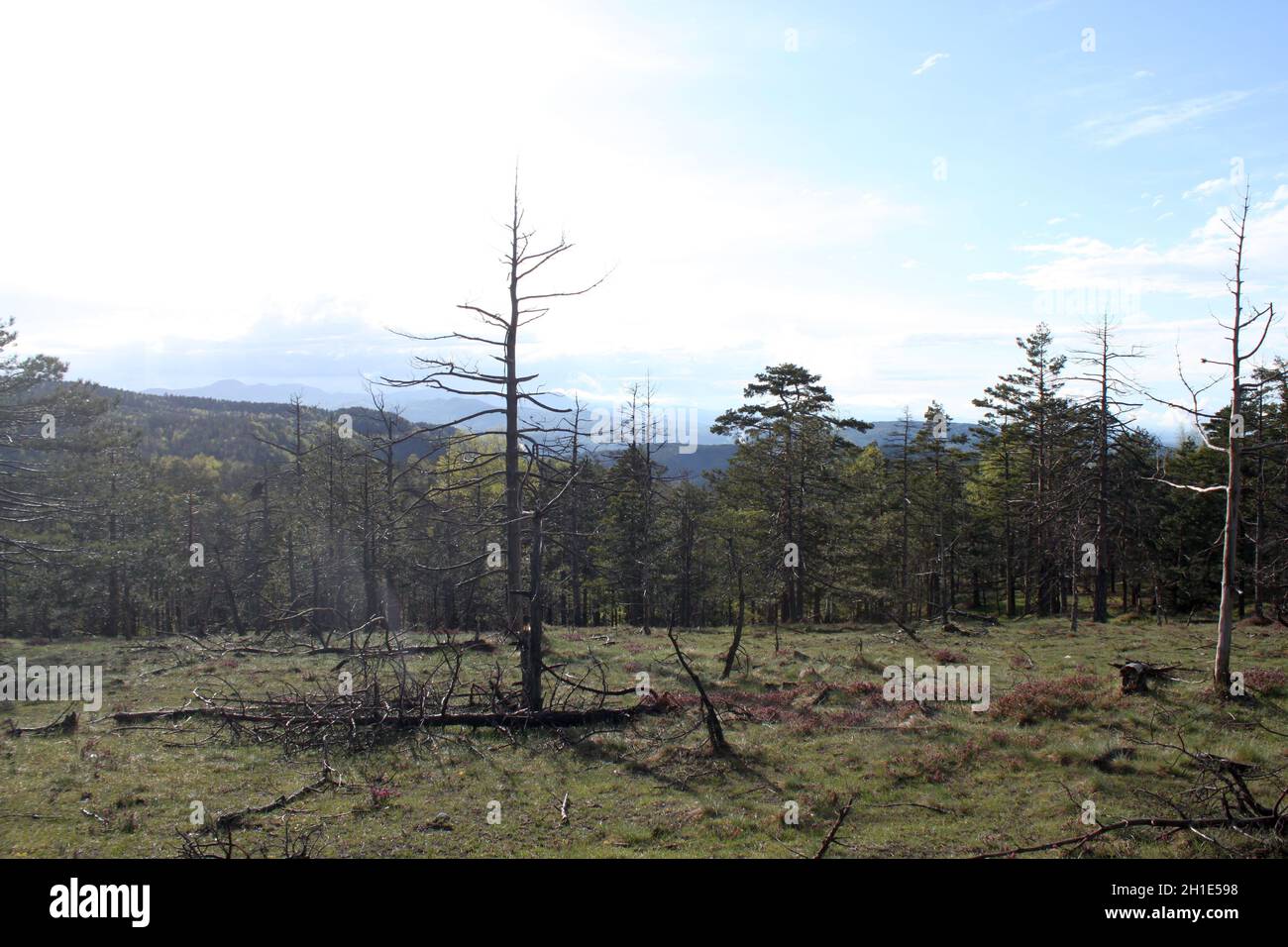 Landscape on Divcibare , Mountain Maljen, Serbia Stock Photo - Alamy