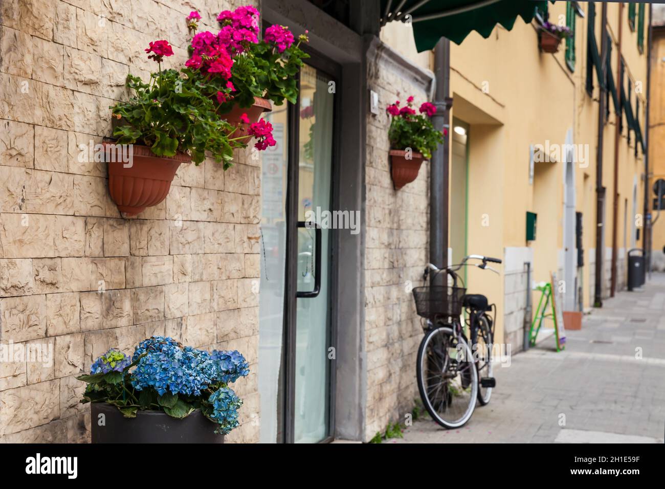 Picturesque streets of Pisa city center Stock Photo - Alamy