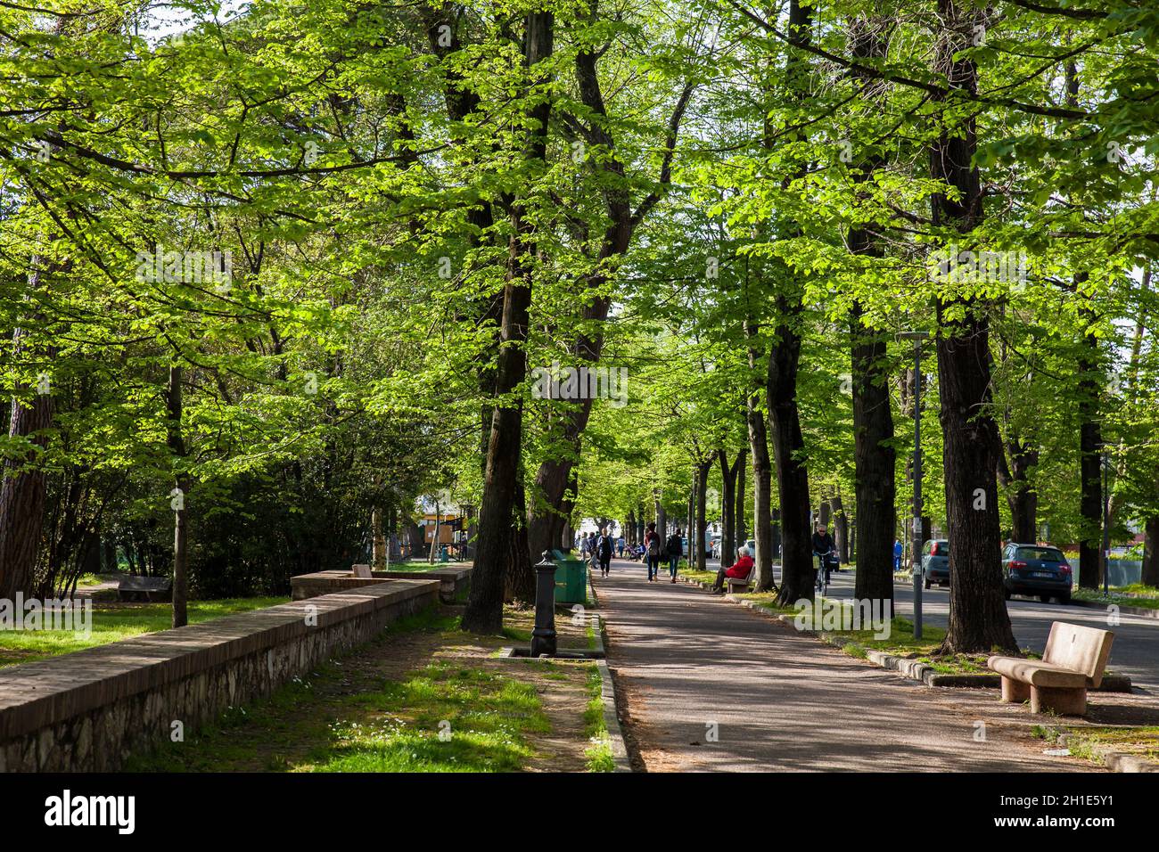 PISA, ITALY - APRIL, 2018: Walking and biking path of the Viale delle ...
