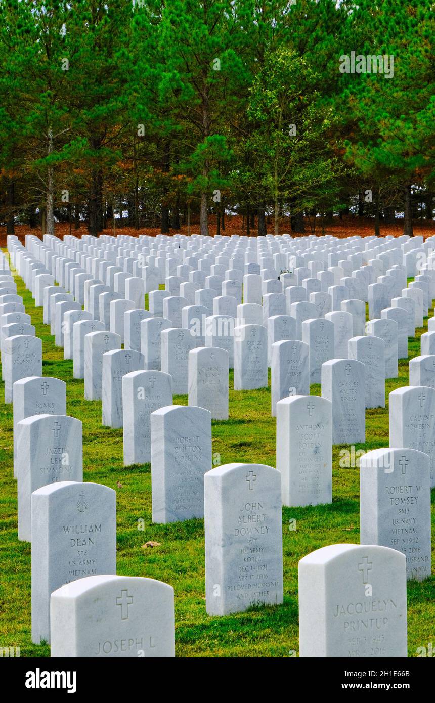 CARTERSVILLE, GEORGIA - October 9, 2019: Georgia National Cemetery ...