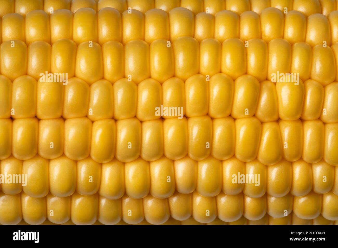 Corn seed texture hi-res stock photography and images - Alamy