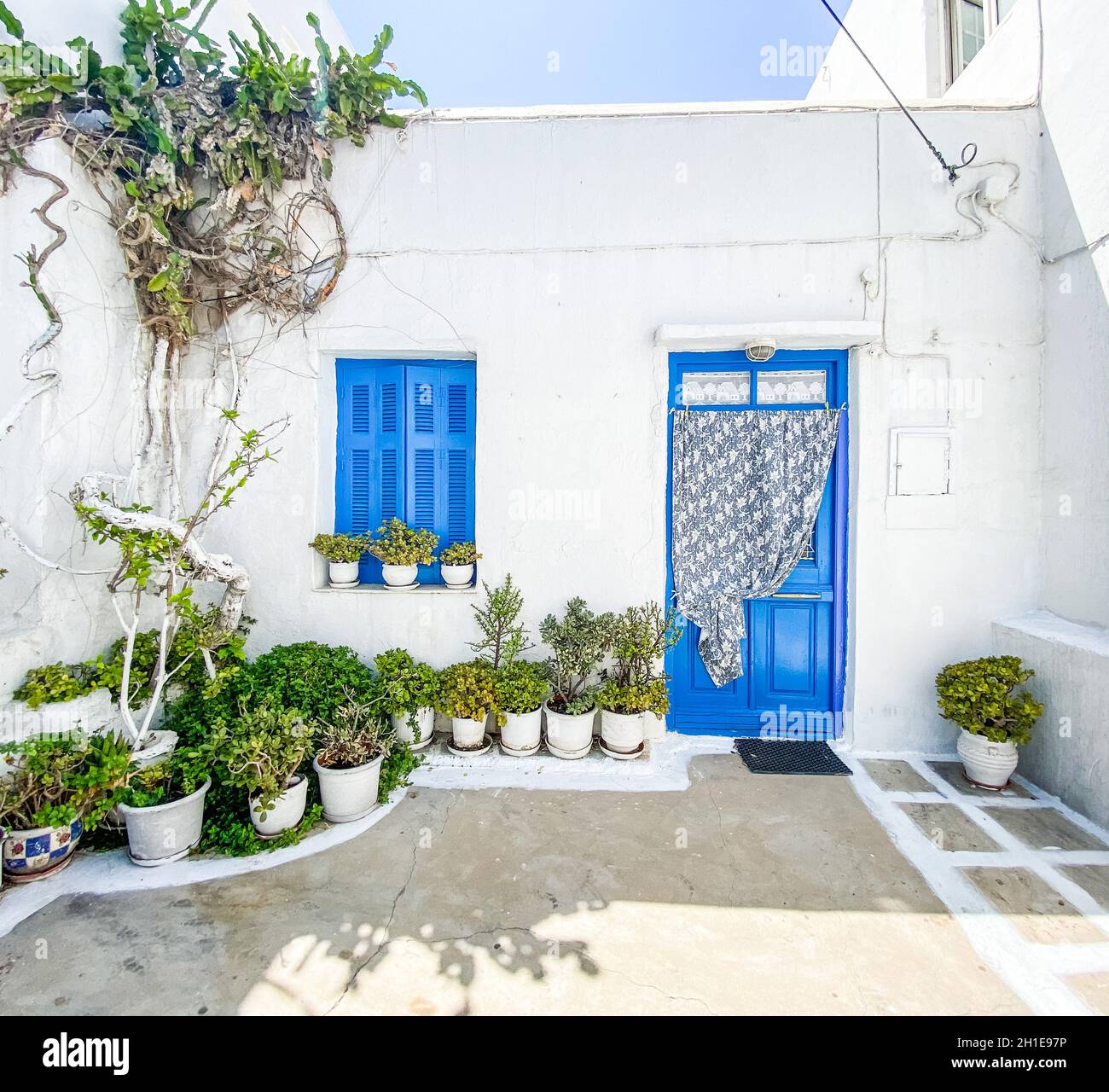 Typical greek front yard with white wall, blue door and lots of plants ...