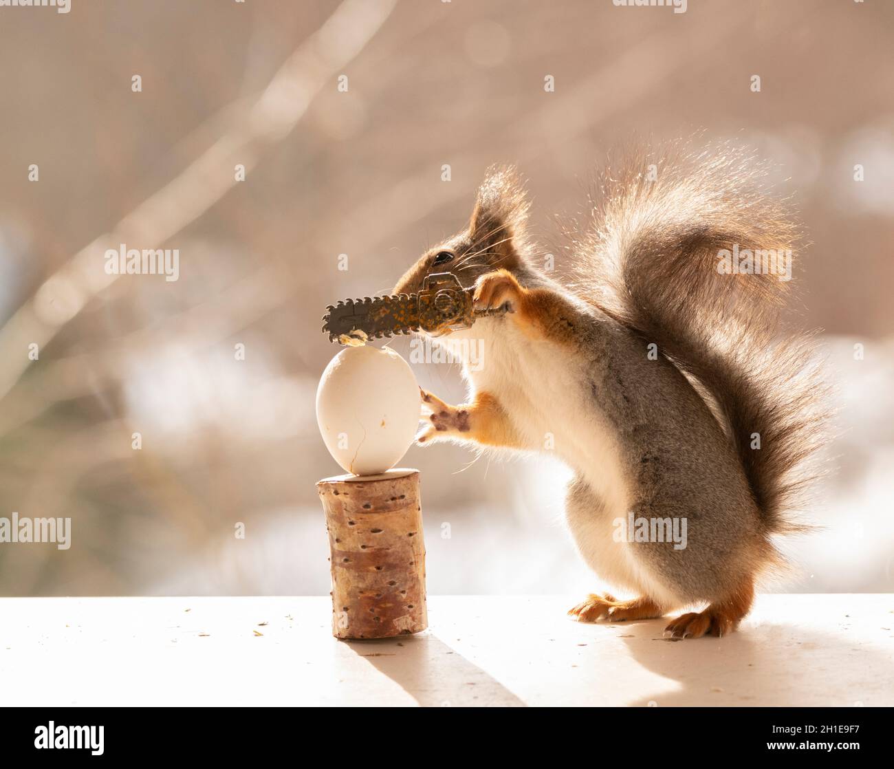 Chainsaw funny hi-res stock photography and images - Alamy