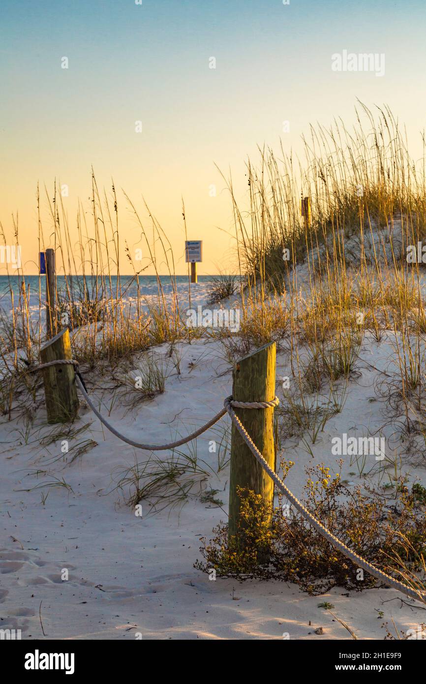 Sand dunes for erosion protection on the beach at Gulf Shores, Alabama ...