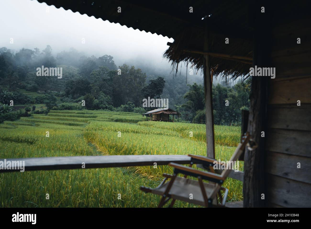 In a hut in a green rice field, rest day,rest in the rain Stock Photo ...