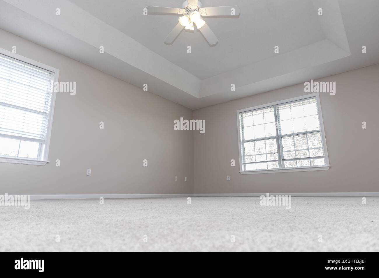 An empty green room with light hardwood floors and a window Stock Photo ...