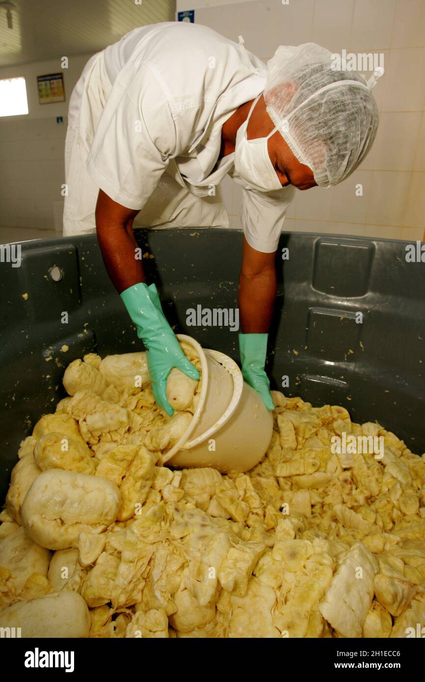 Cocoa harvest cocoa pulp hi-res stock photography and images - Alamy