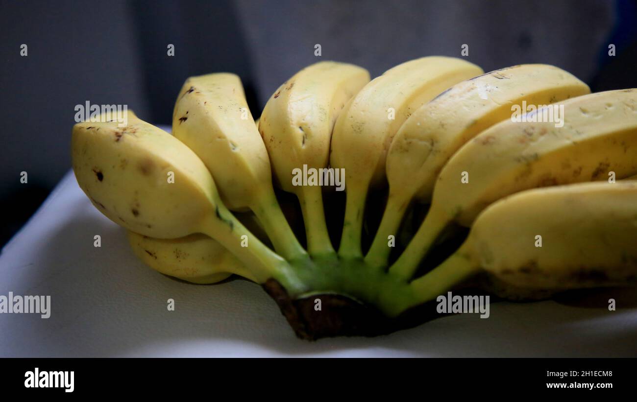 salvador, bahia / brazil - may 08, 2020: bunch of bananas is seen in ...