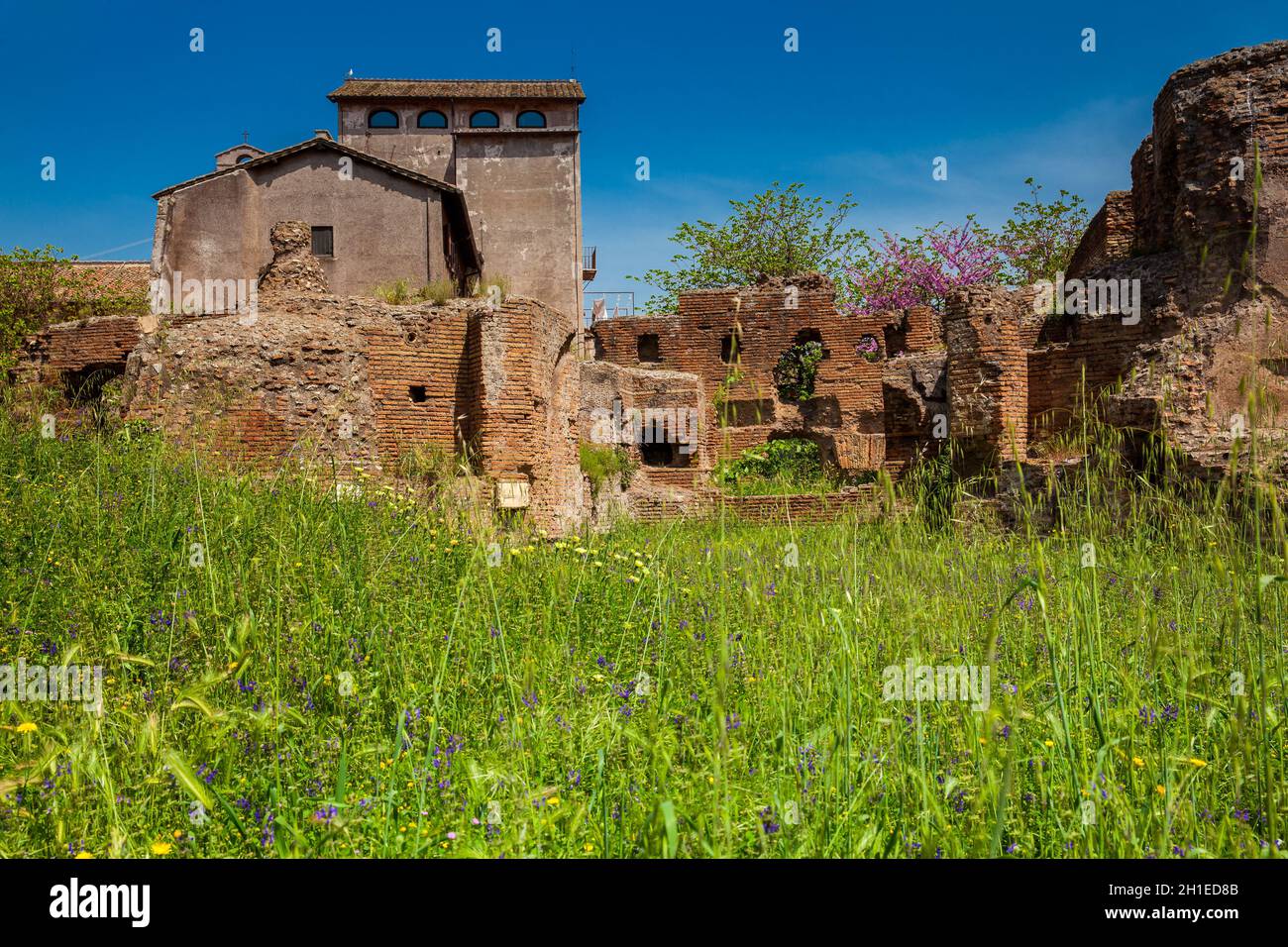 Nymphaeum and Adjoining Cisterns at the Palatine Hill in Rome Stock ...
