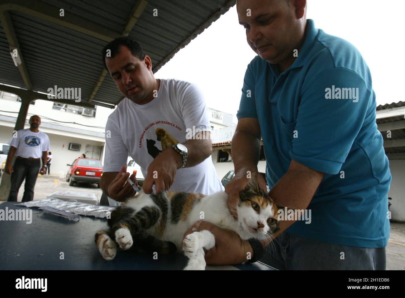 Rabies virus yellow hi-res stock photography and images - Alamy