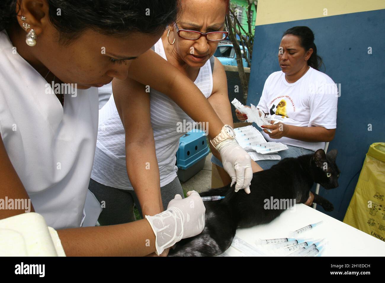 itabuna, bahia / brazil - november 19, 2011: Rabies vaccination ...