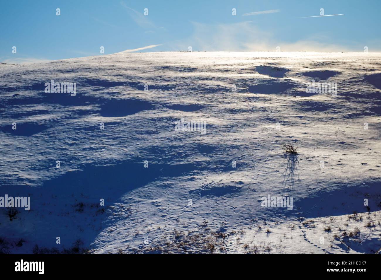 Paltinis hi-res stock photography and images - Alamy