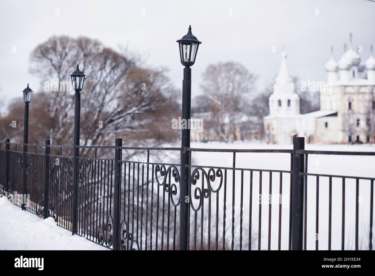Winter forest landscape. Tall trees under snow cover. January frosty ...