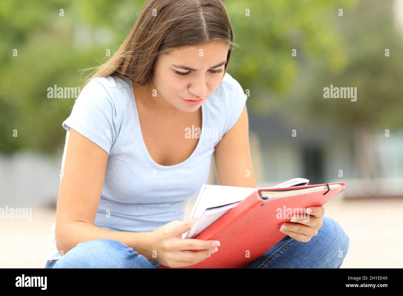 Concentrated student learning reading notes in a campus Stock Photo - Alamy