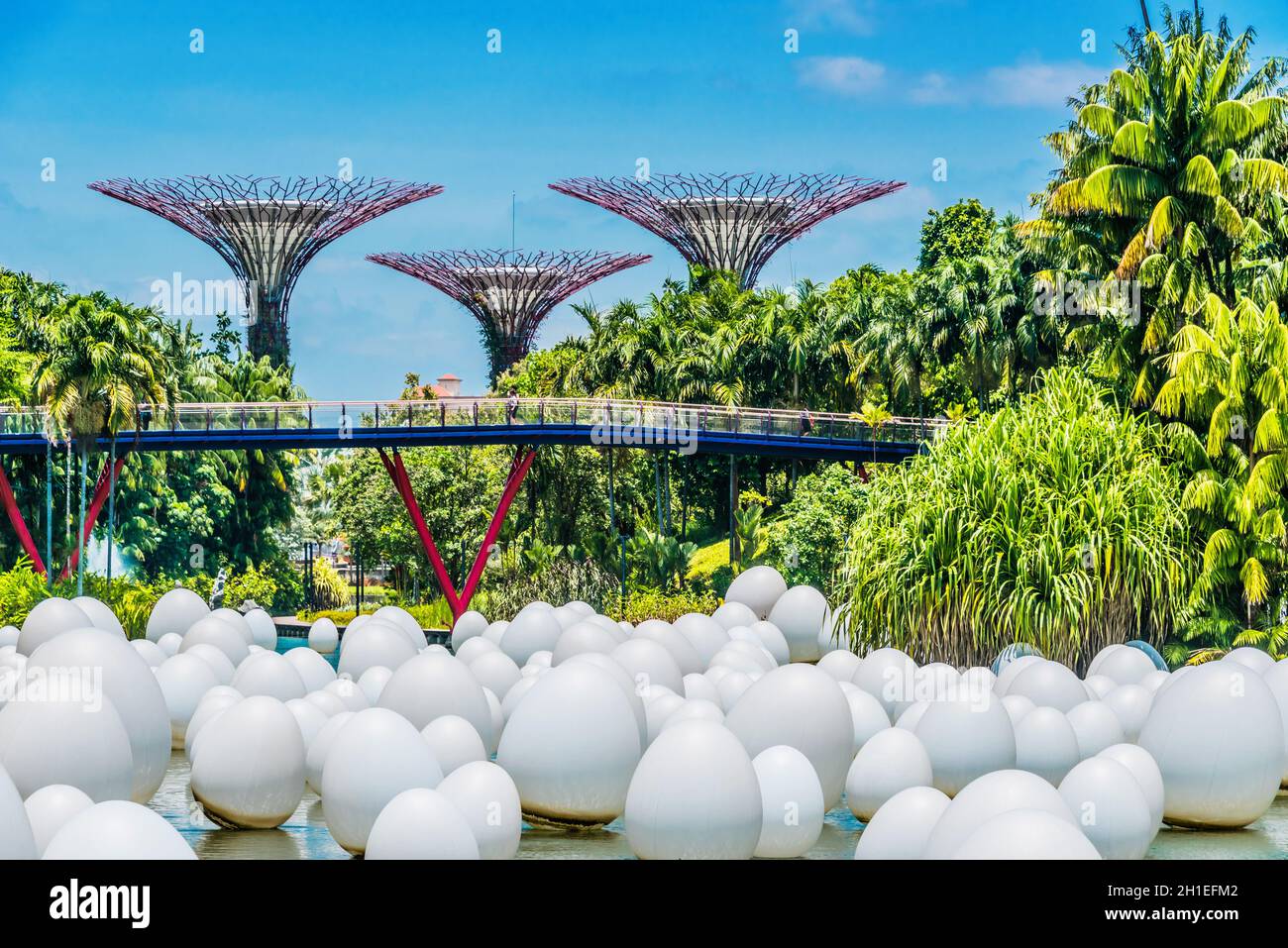 SINGAPORE - FEB 29, 2020: Gardens by the Bay, nature park in the ...