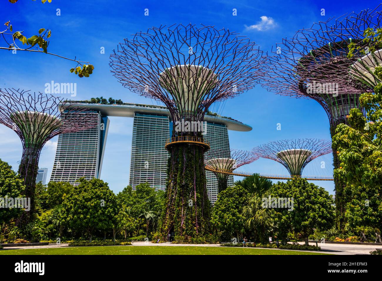 SINGAPORE - FEB 29, 2020: Gardens by the Bay, nature park in the ...