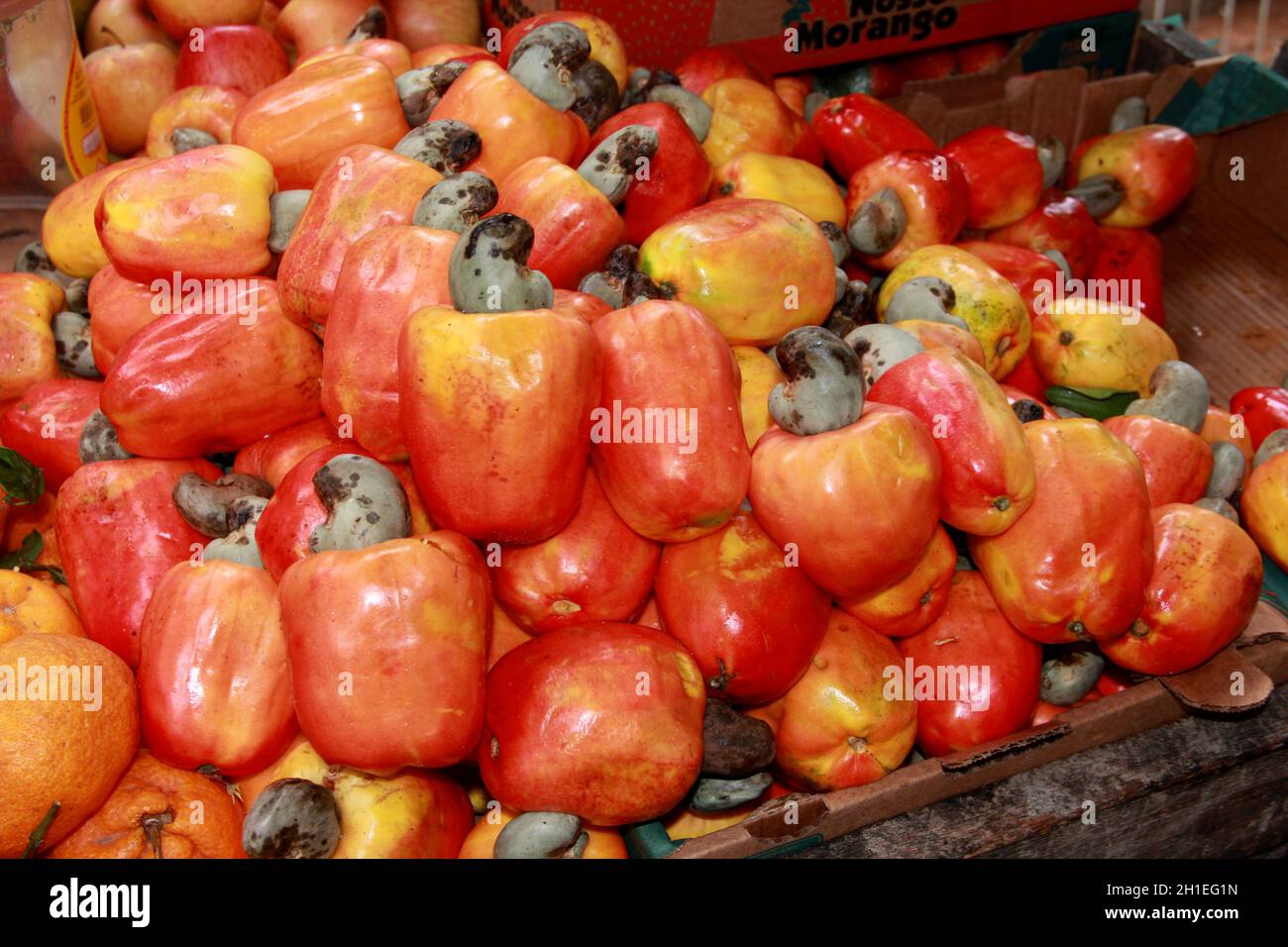 salvador, bahia / brazil - november 22, 2013: Cashew nuts are seen in ...