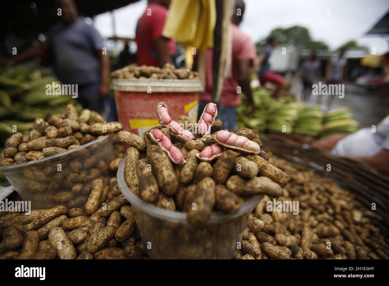 salvador, bahia / brazil - June 17, 2019: peanuts for sale at Feira de ...