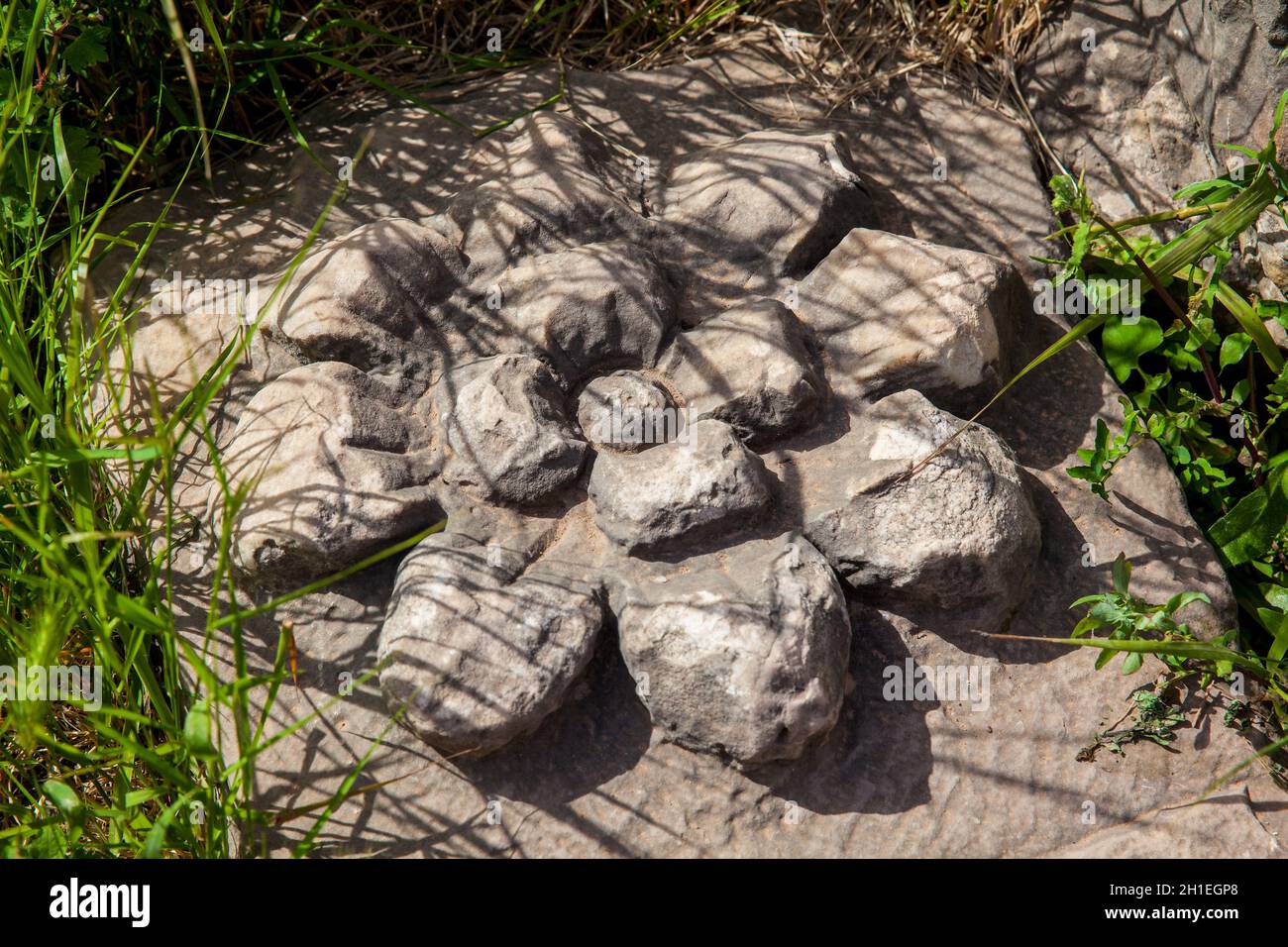 Detail of the beautiful stone carvings which decorated the ancient ...