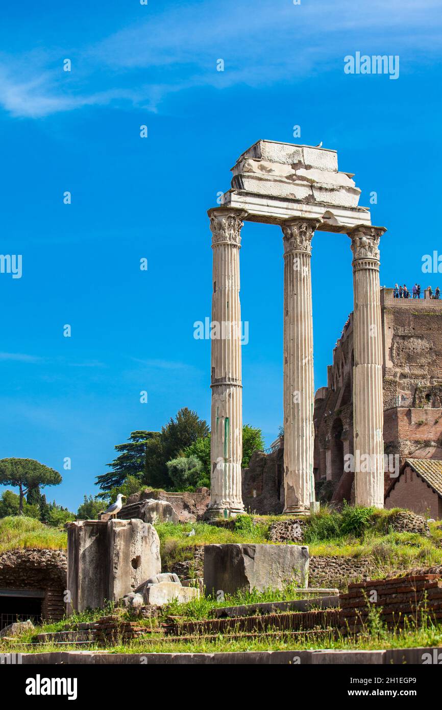 Ancient greek temple pollux dioscuri hi-res stock photography and ...