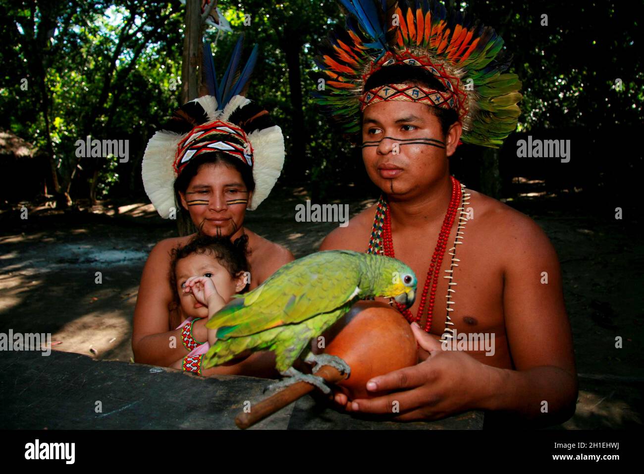 Tupinamba people hi-res stock photography and images - Alamy