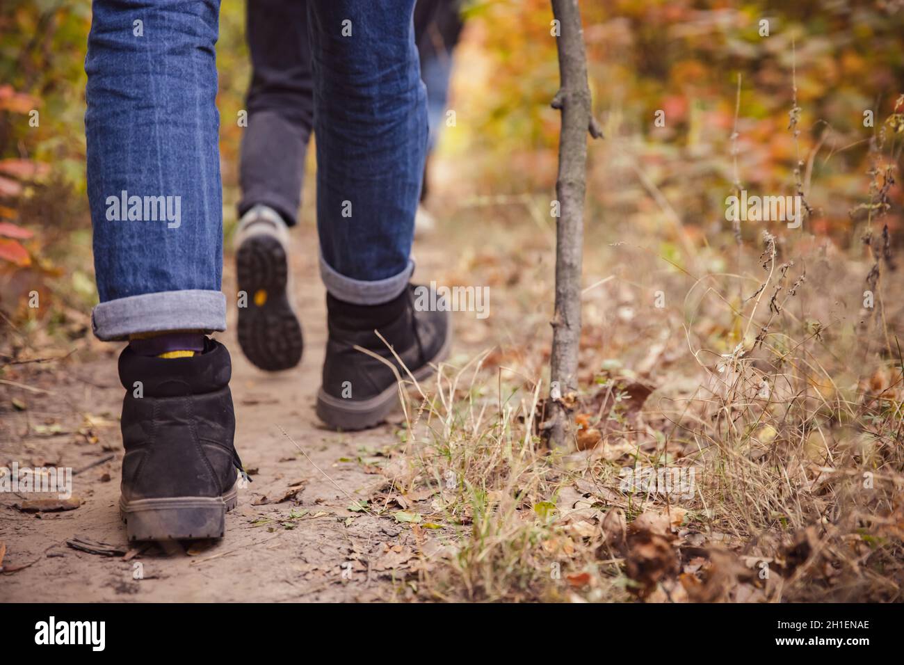 Cropped image of male legs walking on the forest path, autumn hiking ...