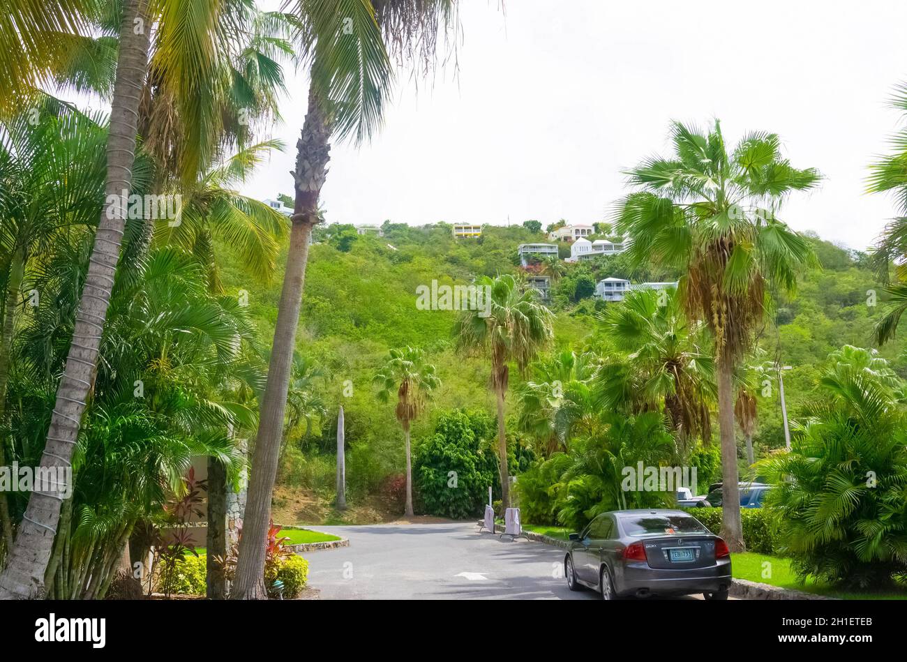 Morning star beach resort hi-res stock photography and images - Alamy