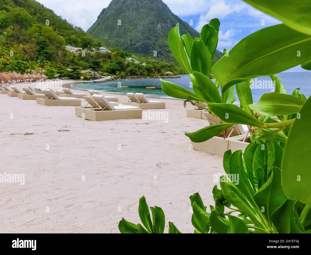 Beautiful white sand beach in Saint Lucia, Caribbean Islands Stock ...