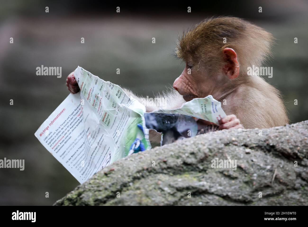 Enclosure map hi-res stock photography and images - Alamy