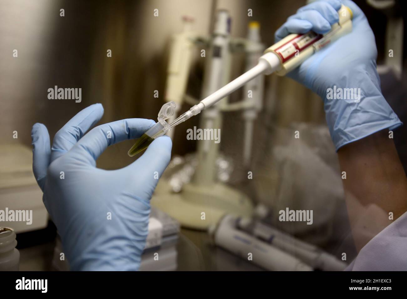 Lab equipment handling hi-res stock photography and images - Alamy