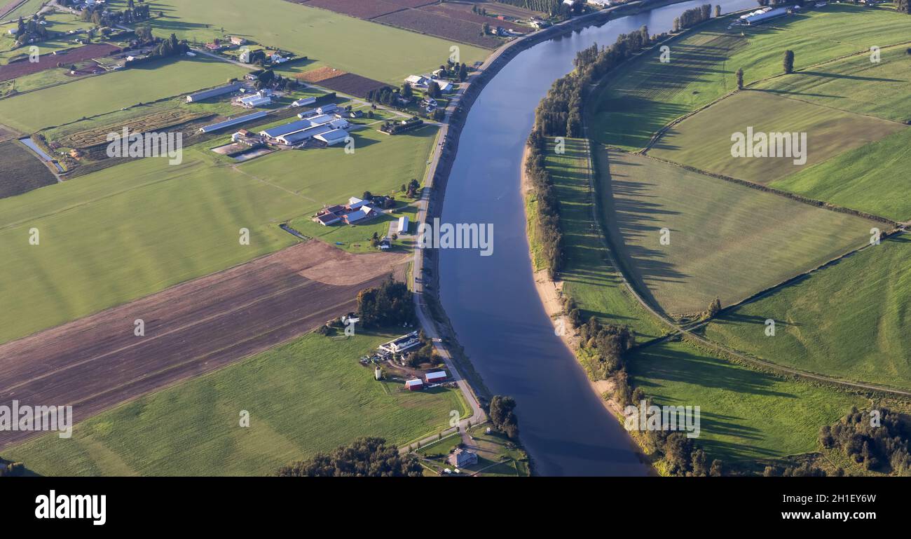 Aerial View of green Farm Field in Fraser Valley Stock Photo - Alamy
