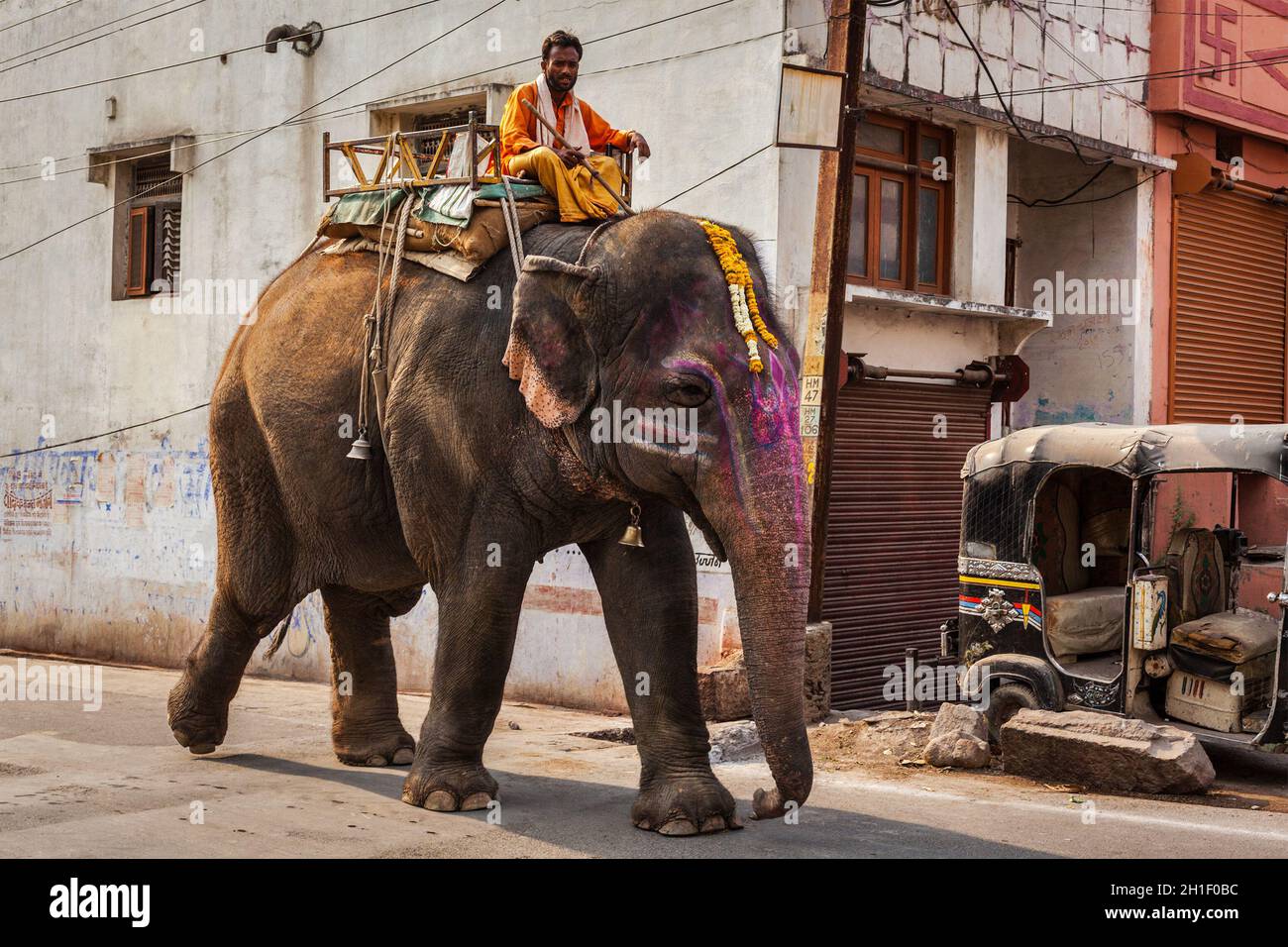UJJAIN, INDIA - APRIL 23, 2011: Mahout riding elephant in city street ...