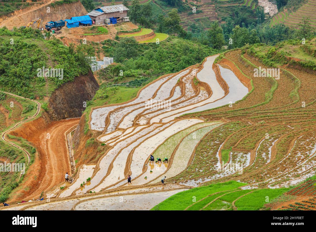 Ta pa field hi-res stock photography and images - Alamy