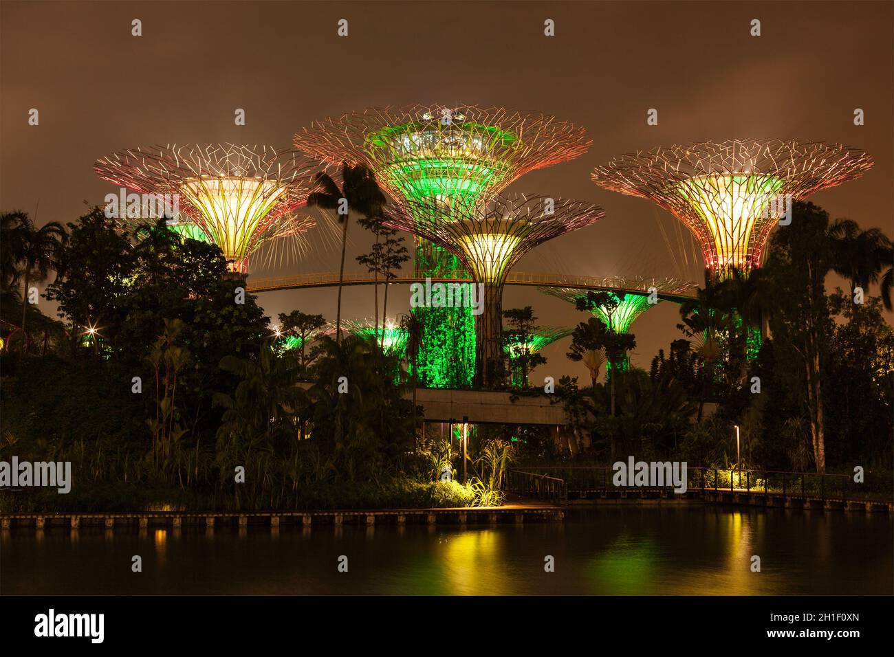 SINGAPORE - DECEMBER 31, 2013: Night view of Supertree Grove at Gardens ...