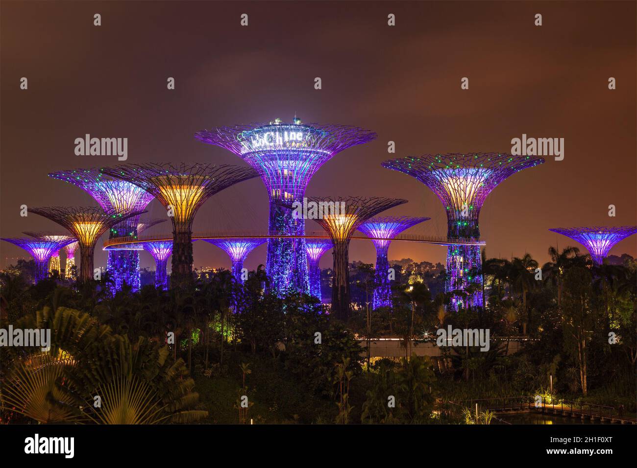 SINGAPORE - DECEMBER 31, 2013: Night view of Supertree Grove at Gardens ...
