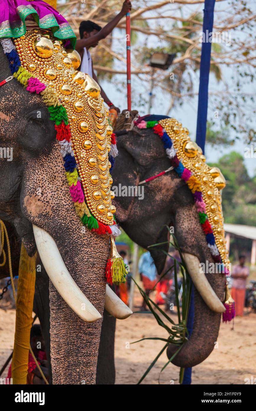 Brahmin priests south indian temple hi-res stock photography and images ...