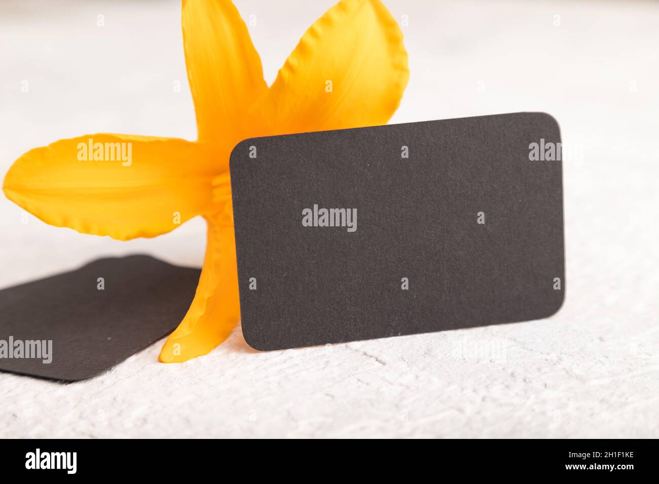 Black paper business card mockup with orange day-lily flower on gray ...